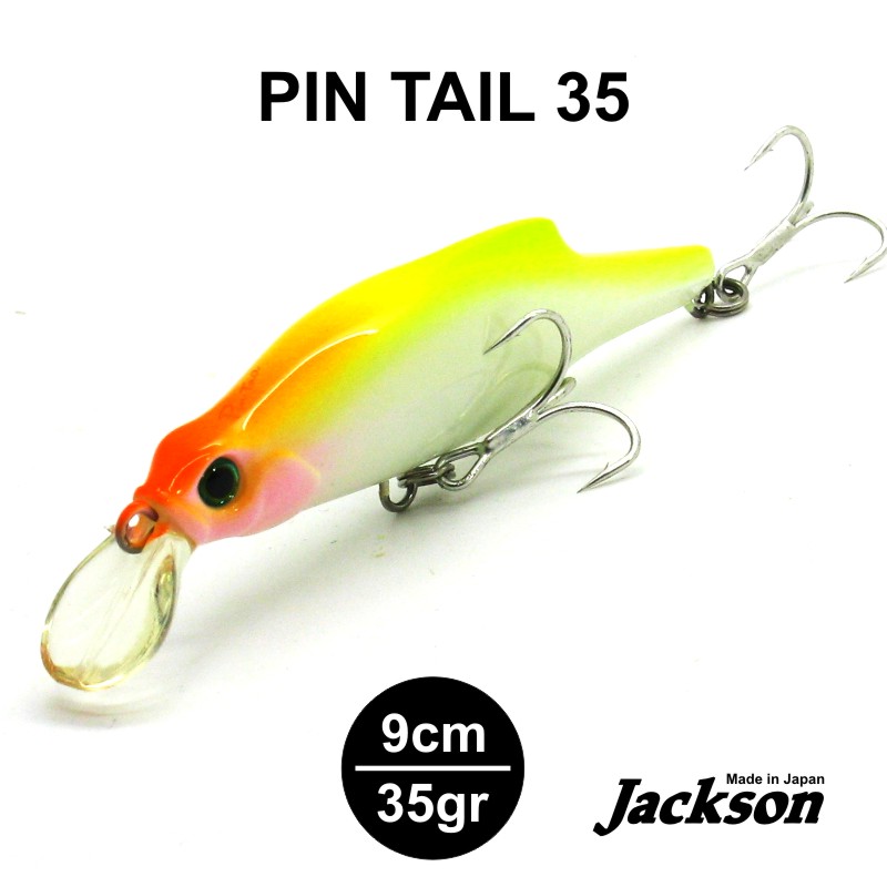 AMOSTRAS DURAS : JACKSON PINTAIL 9CM / 35GR AFUNDANTE COR CGH